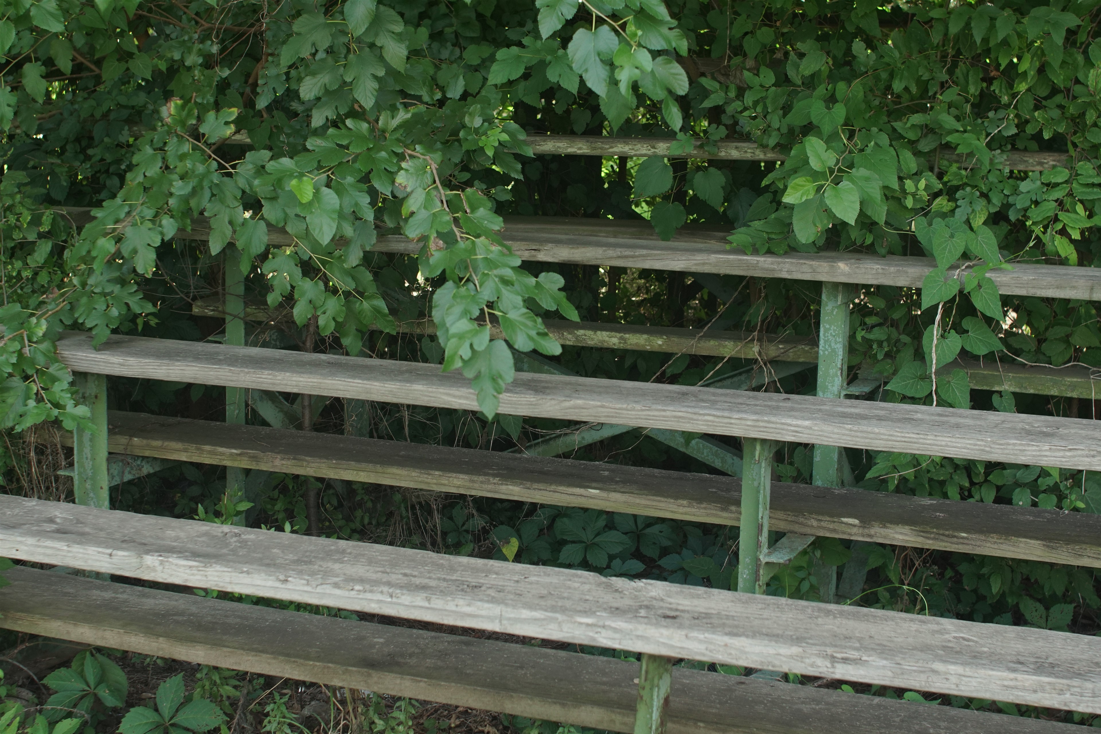 Locations Hub - Inglenook School